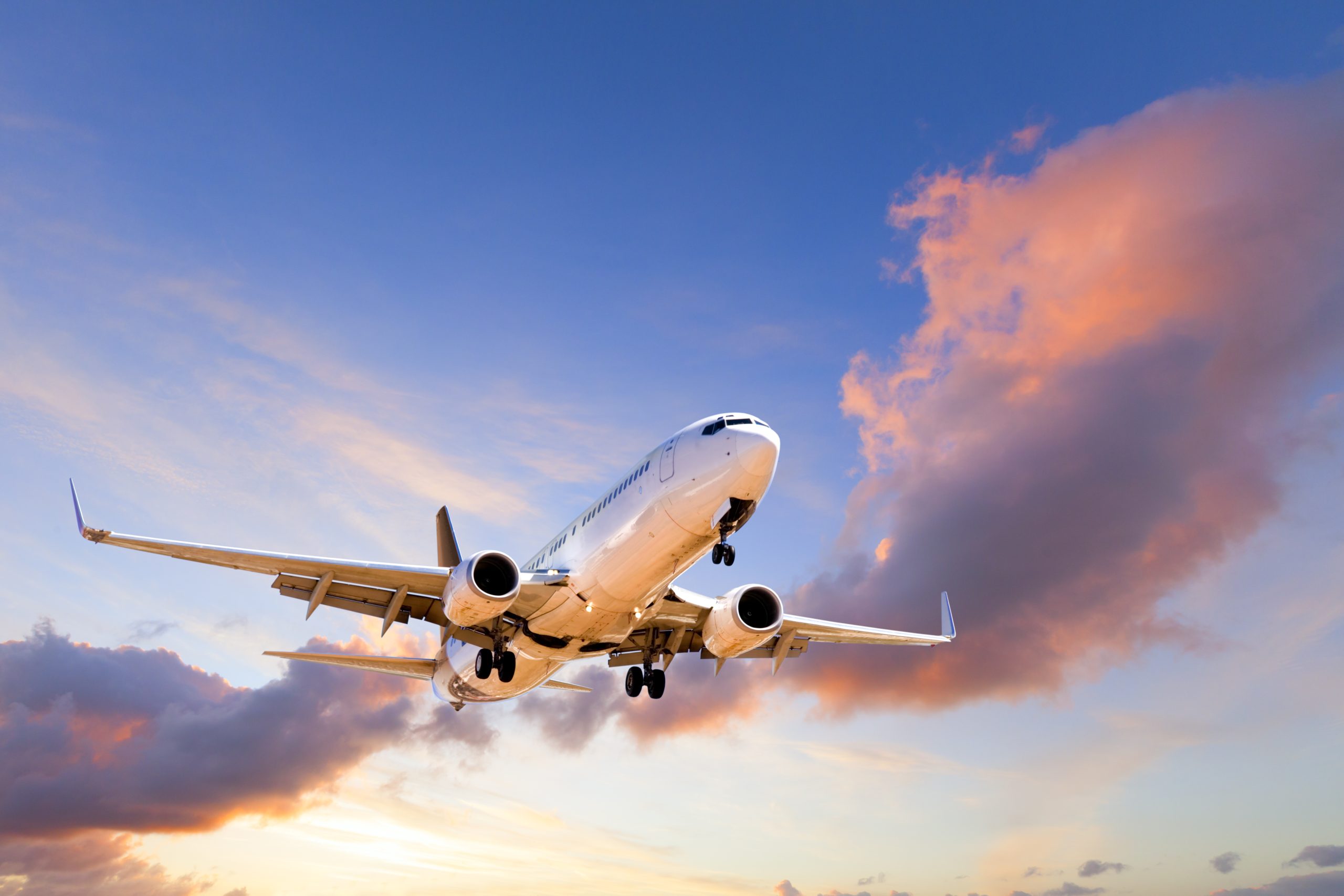 Interpretation of Disrupted Flight Regulations: Key Decisions and ...